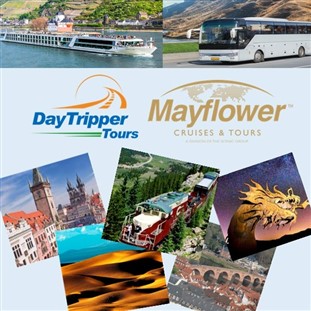 DayTripper Tours