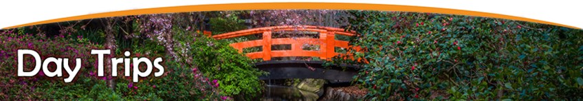 DayTripper Tours