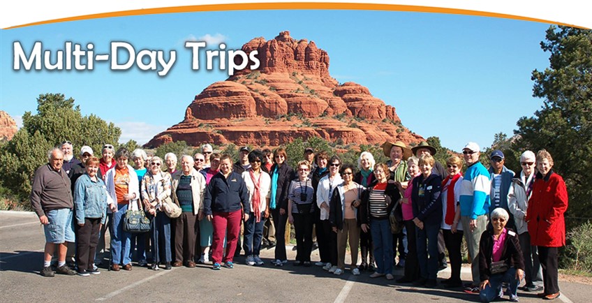 DayTripper Tours
