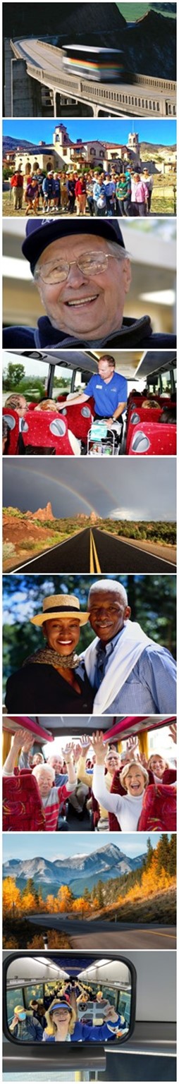 The DayTripper Story